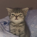 ‌Mohammad Musa Razai‌ (@OldGrandpaWhale) | فیراستي